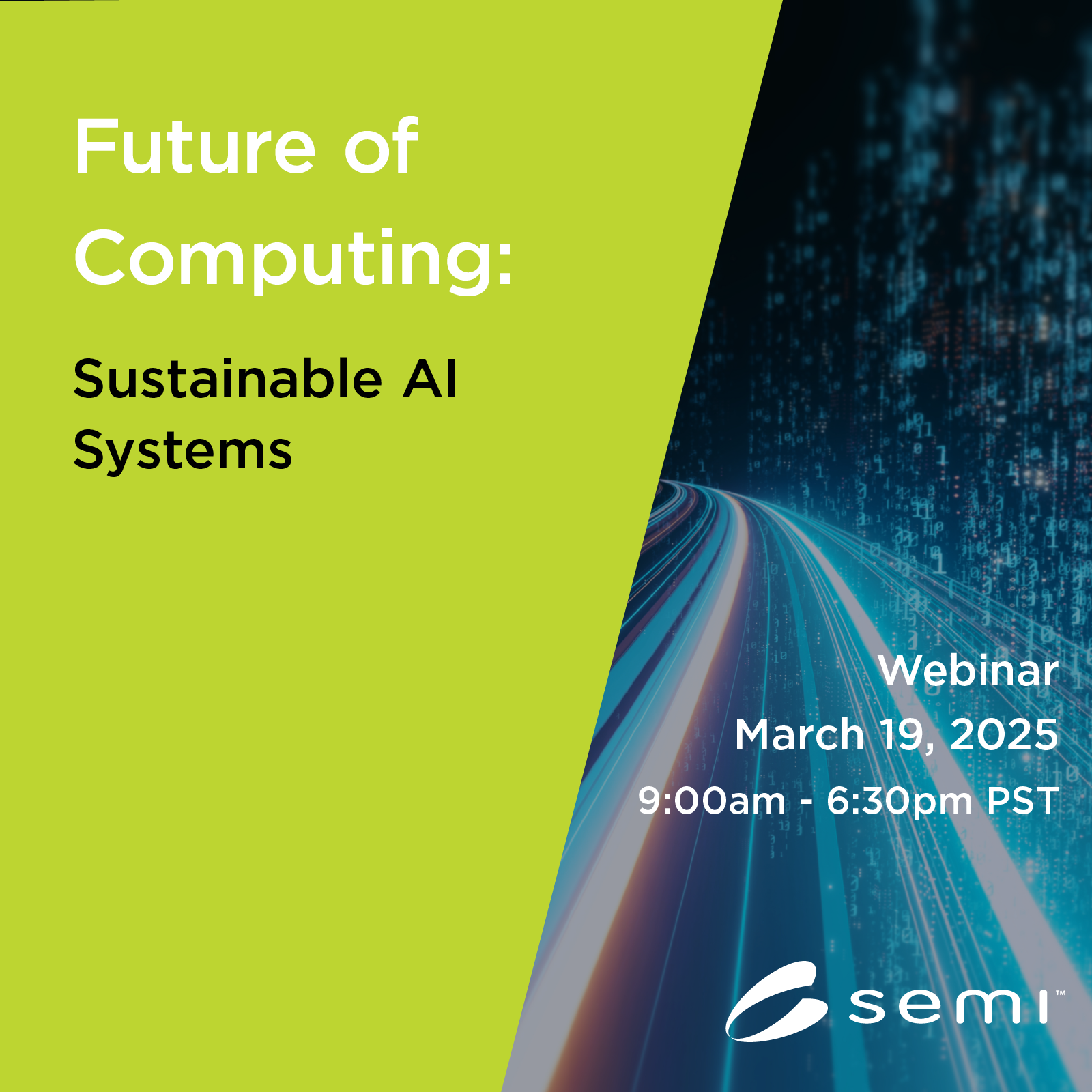 Future of Computing: Sustainable AI Systems