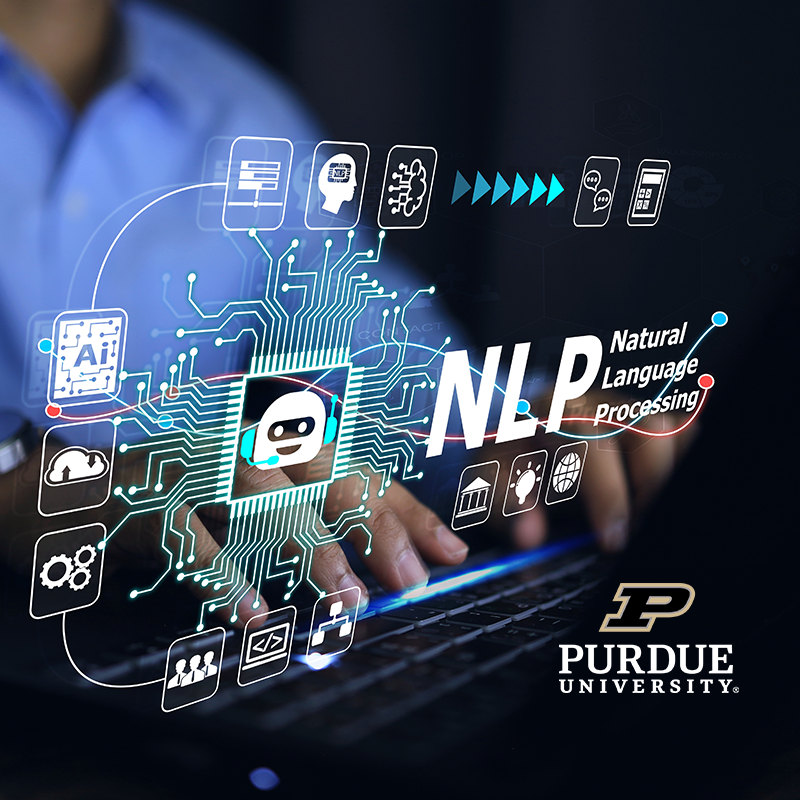 Natural Language Processing Solutions: An Intro to Evaluation & Implem