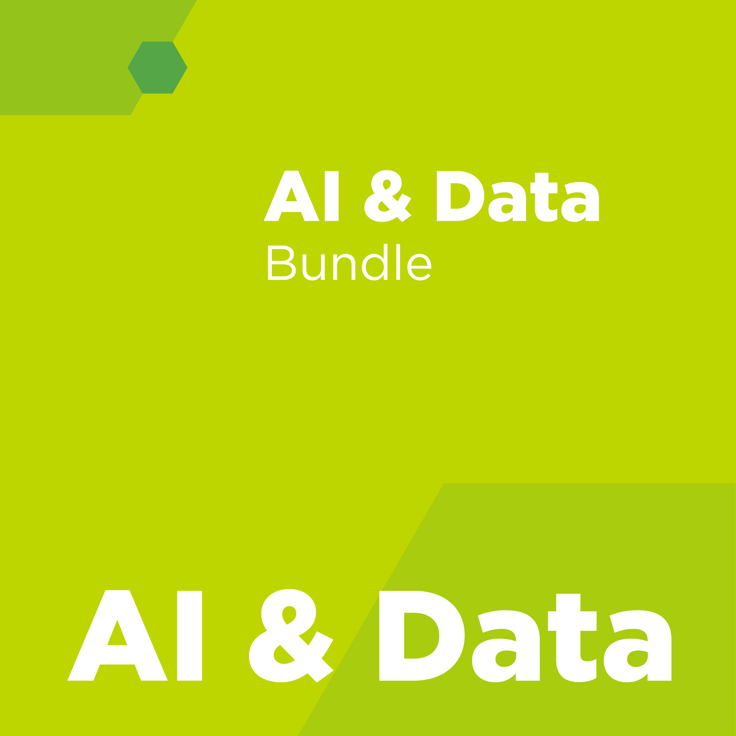 AI & Data Bundle